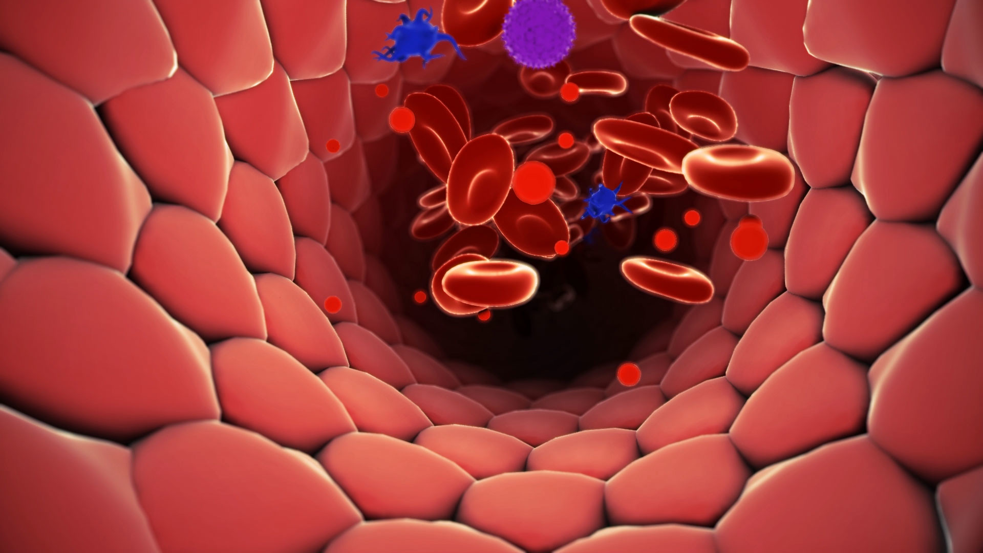 HCV Basics - Golden Rule Services